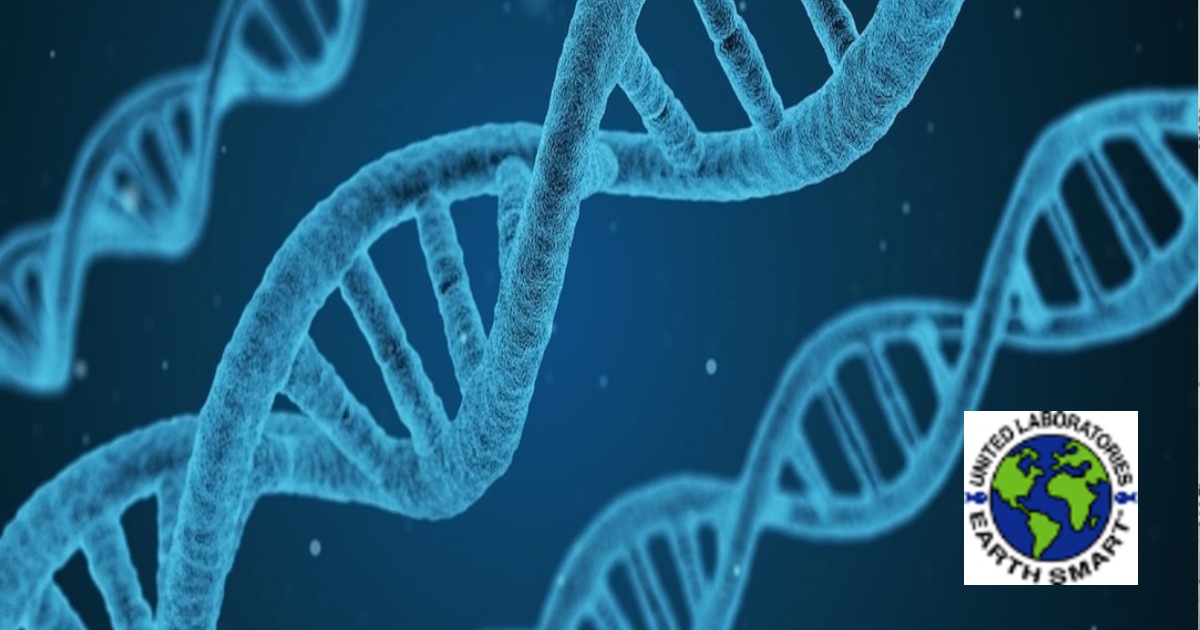 United Laboratories Case Study | Reporting & Analytics | insightsoftware