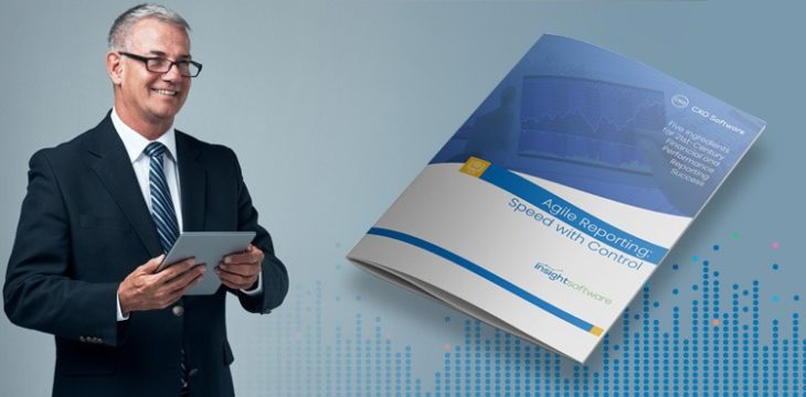 SAP BPC Reporting and Dashboard Software Solutions - insightsoftware