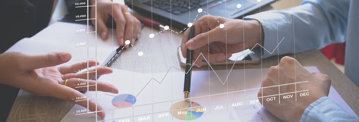 11 Financial Model Examples & Templates | insightsoftware