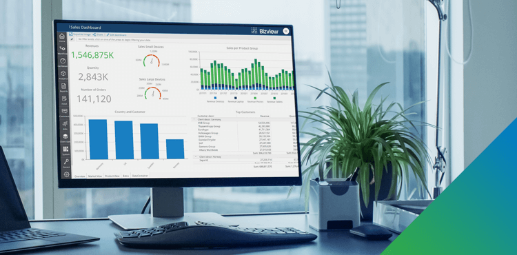 Bizview - 5 Minute Demo | insightsoftware