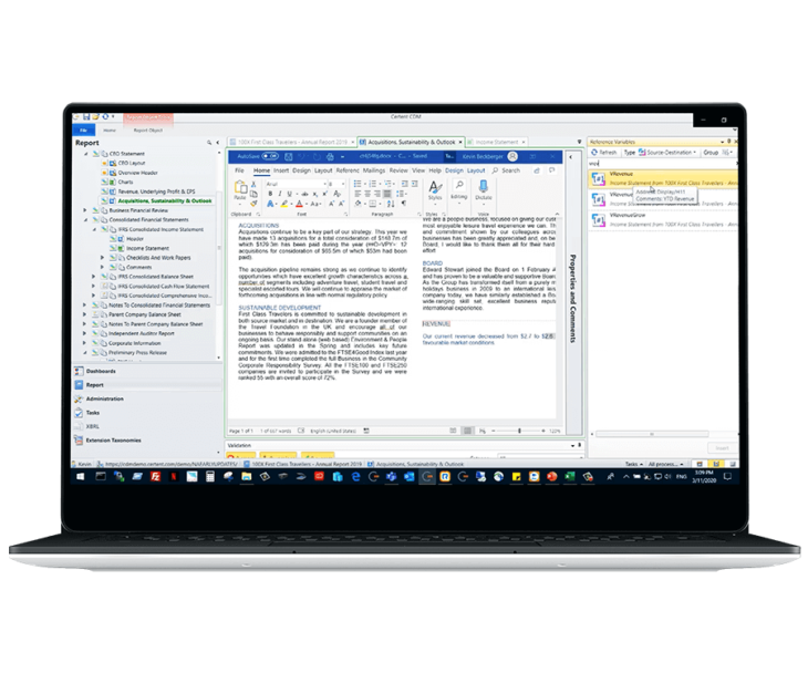 Logiciel de Disclosure Management – insightsoftware