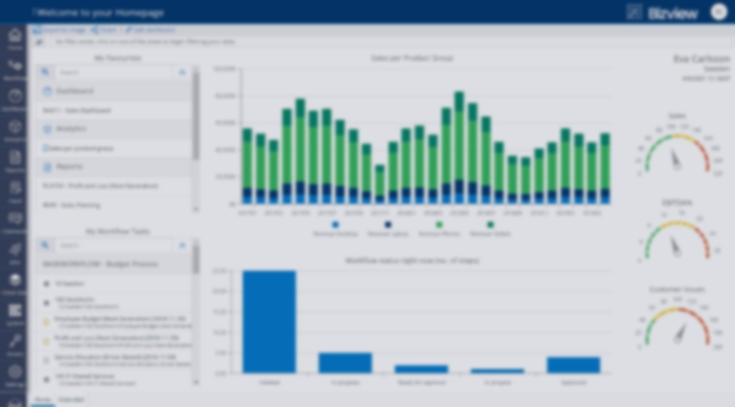 Bizview Demo | insightsoftware