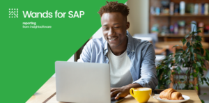 SAP Reporting Tools & Solutions in Excel - insightsoftware