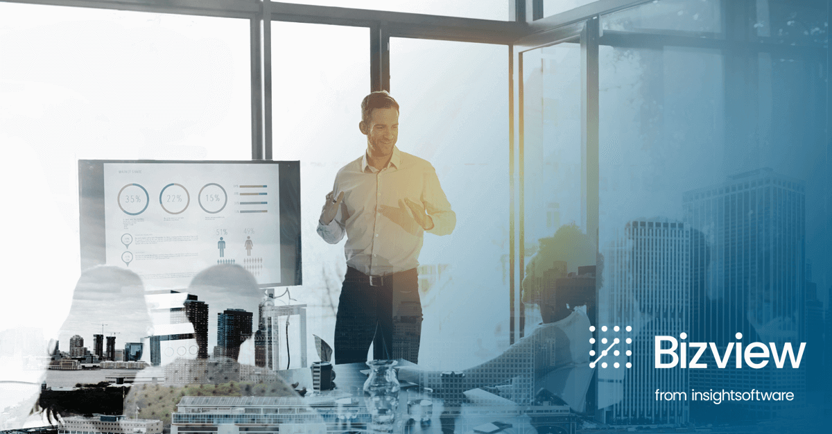 Bizview Workflows | insightsoftware