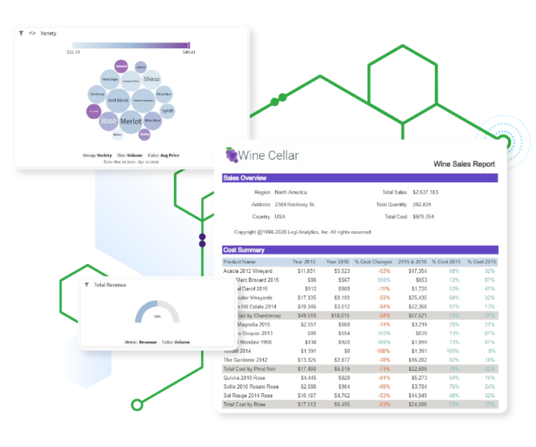 Logi Symphony SaaS | insightsoftware