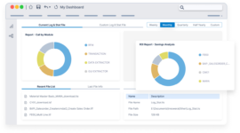 SAP Data Management & Automation - Process Runner - insightsoftware