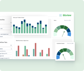 Bizview Competitor Comparison | insightsoftware
