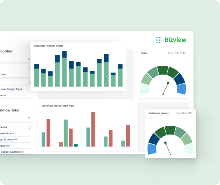Bizview Competitor Comparison | insightsoftware