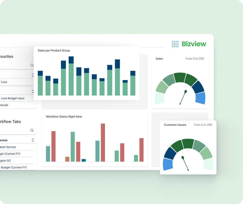 Bizview Competitor Comparison | insightsoftware