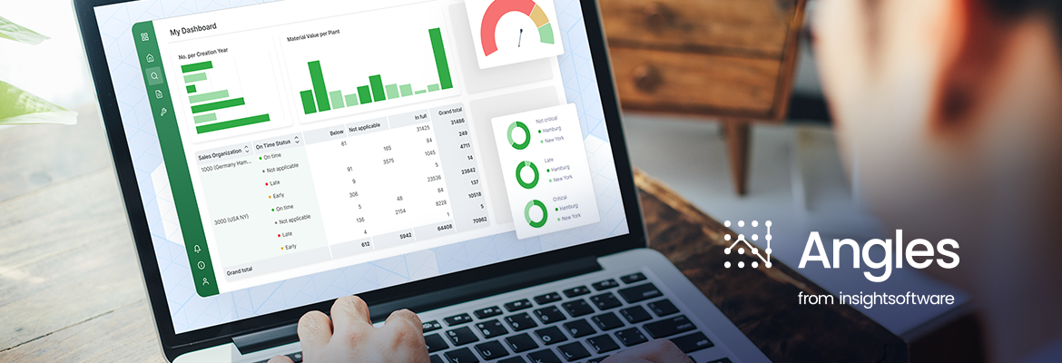 Angles for SAP from insightsoftware Now Supports SAP Business Technology Platform (BTP) to ...
